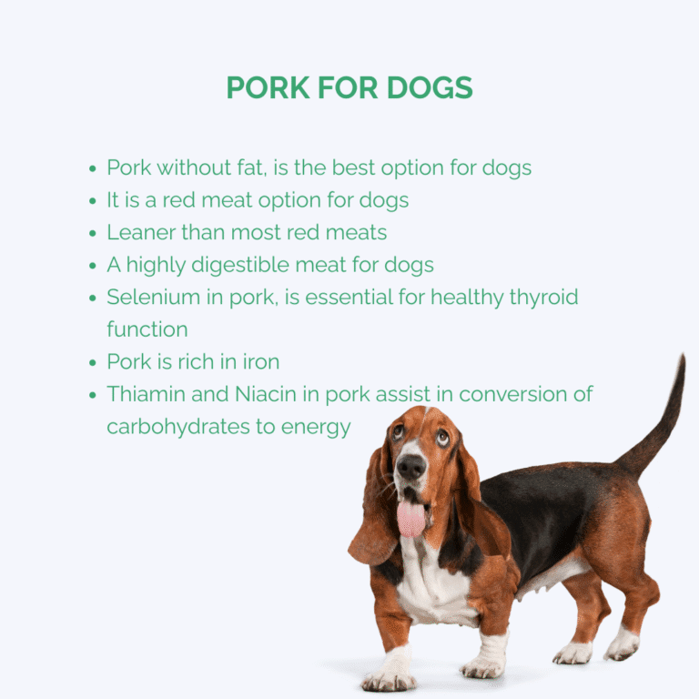 Pork For Dogs | Home Delivery | Bangalore